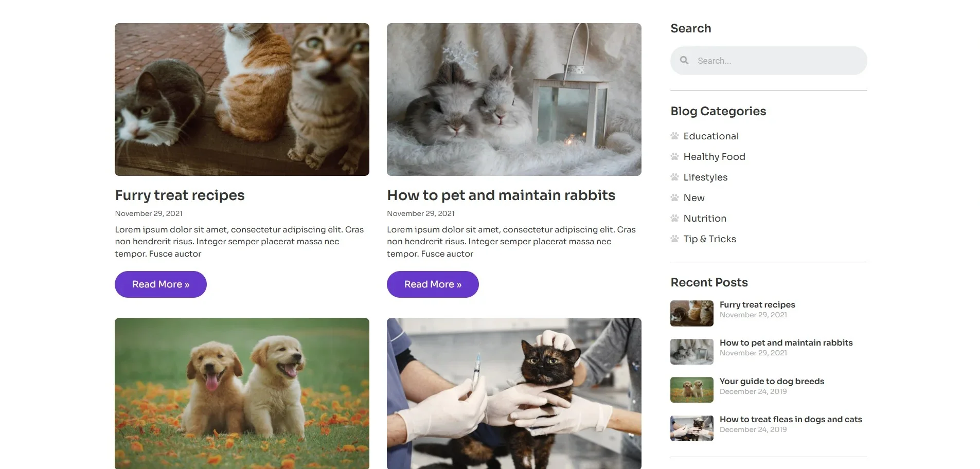 Modern Pet Shop WordPress Website Templates Online