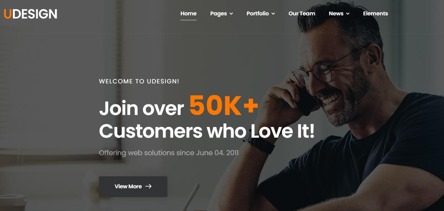 30 Top Responsive WordPress Themes for Websites in 2024