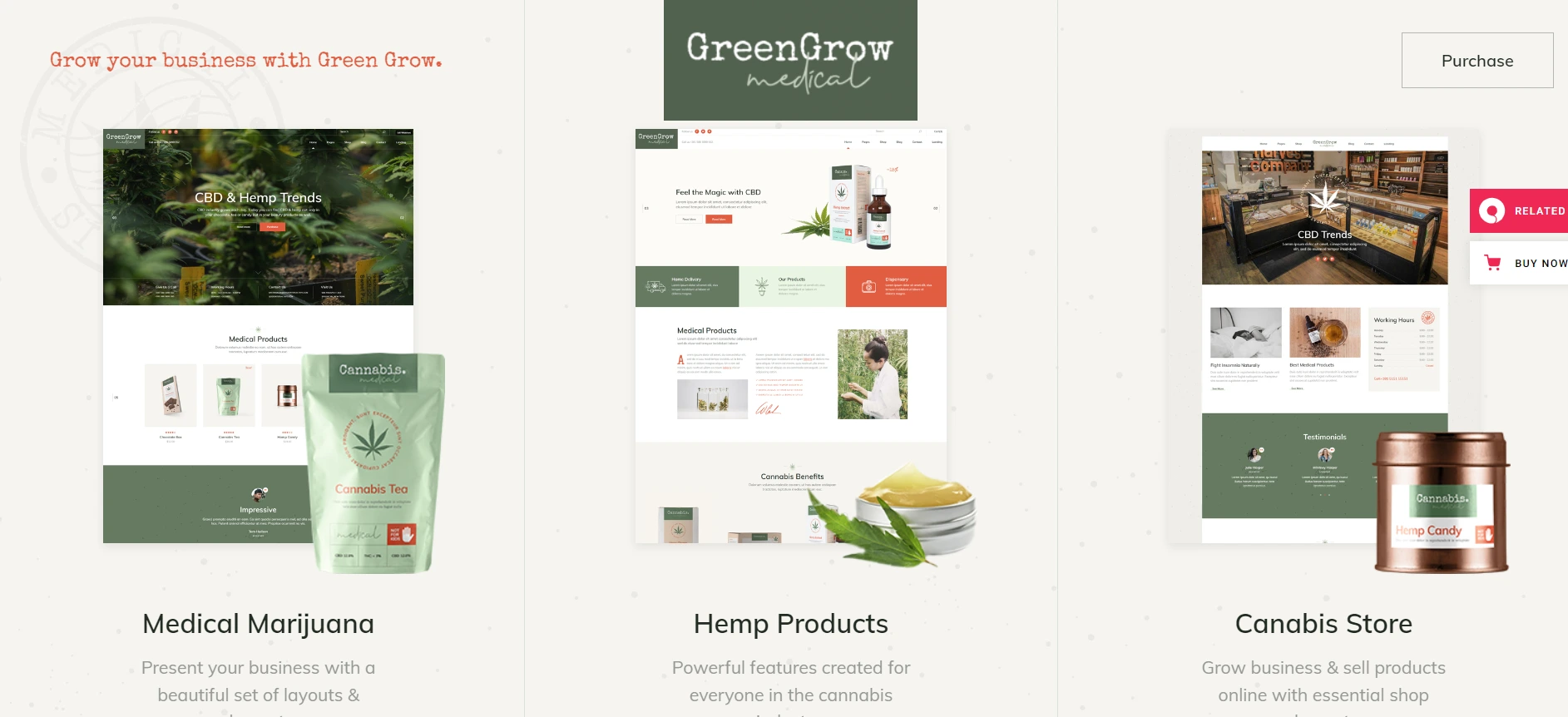 35 Best Medical & Health WordPress Themes For 2026